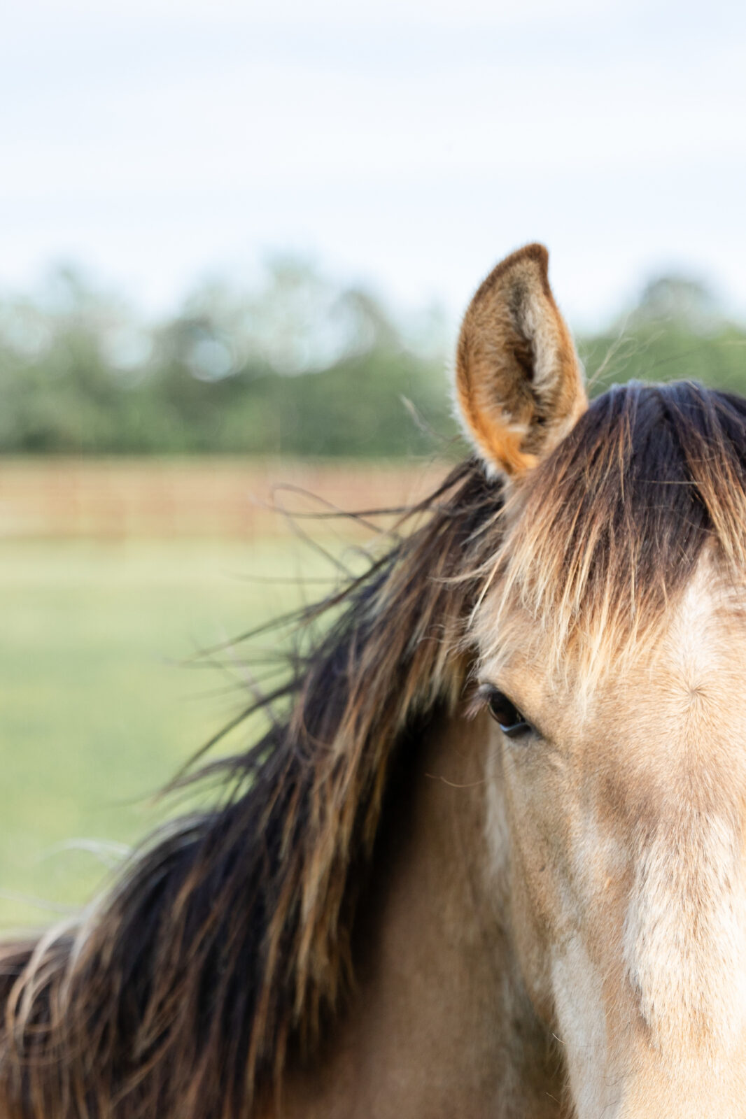 Castle Farm Wedding - Haley Day - Baltimore Wedding Photographer